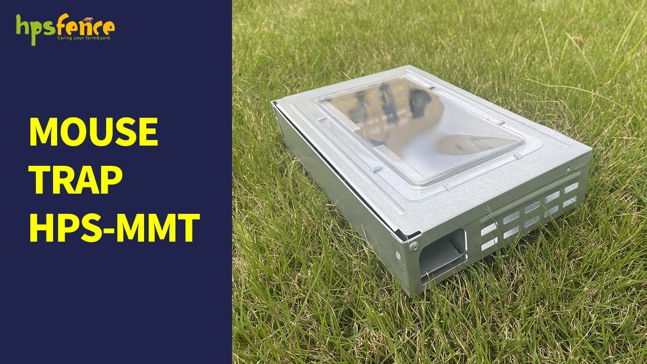 HPS MMT Live Capture Mouse Trap - YouTube