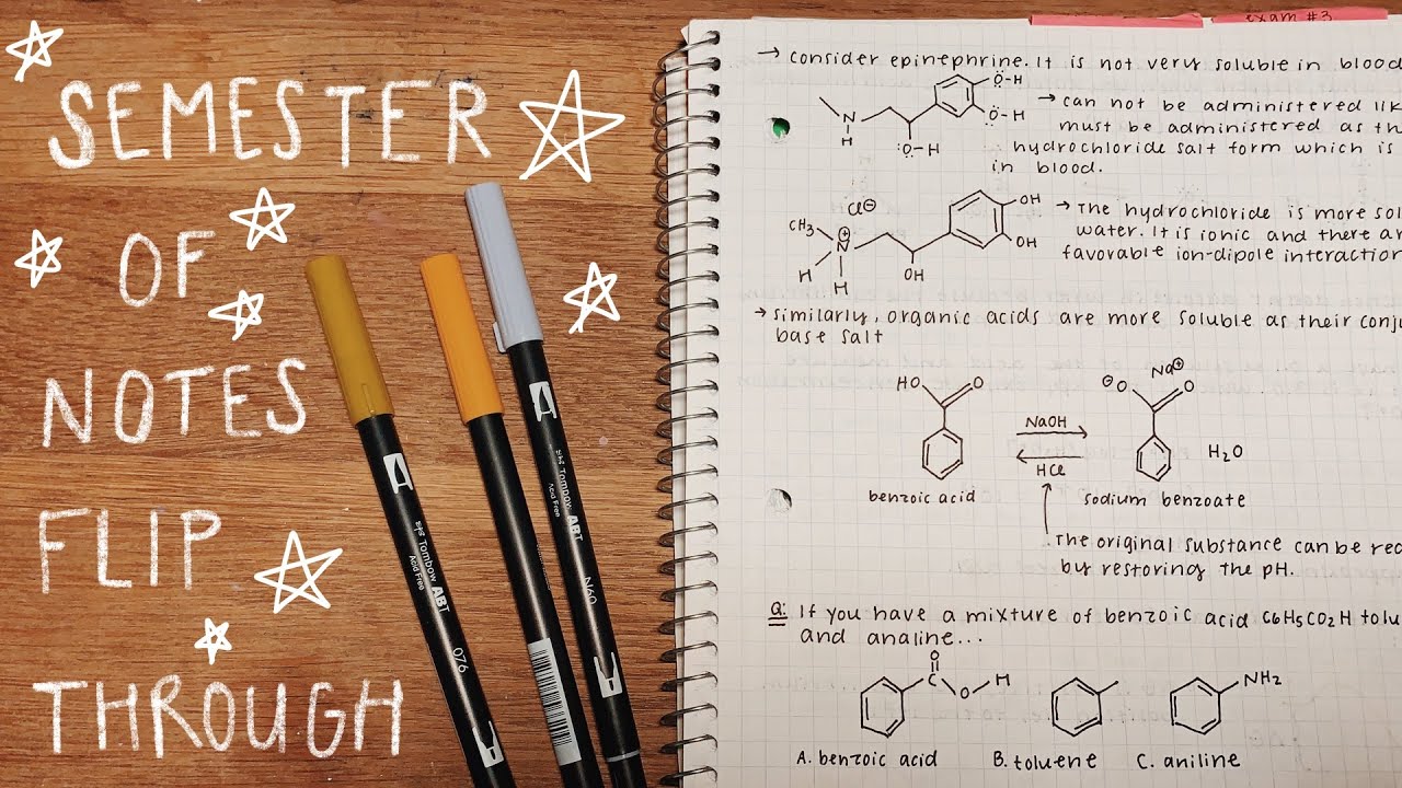 Entire Semester of Notes Flip Through - Michigan State University ...