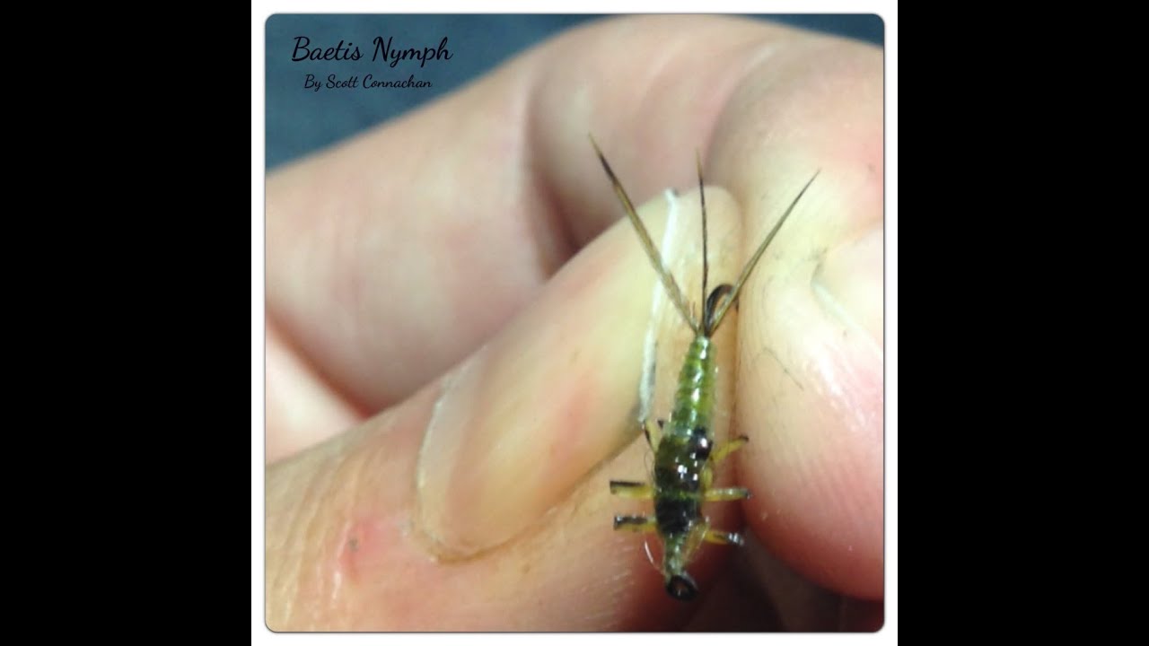Tying the Baetis Nymph With Scott Connachan - YouTube