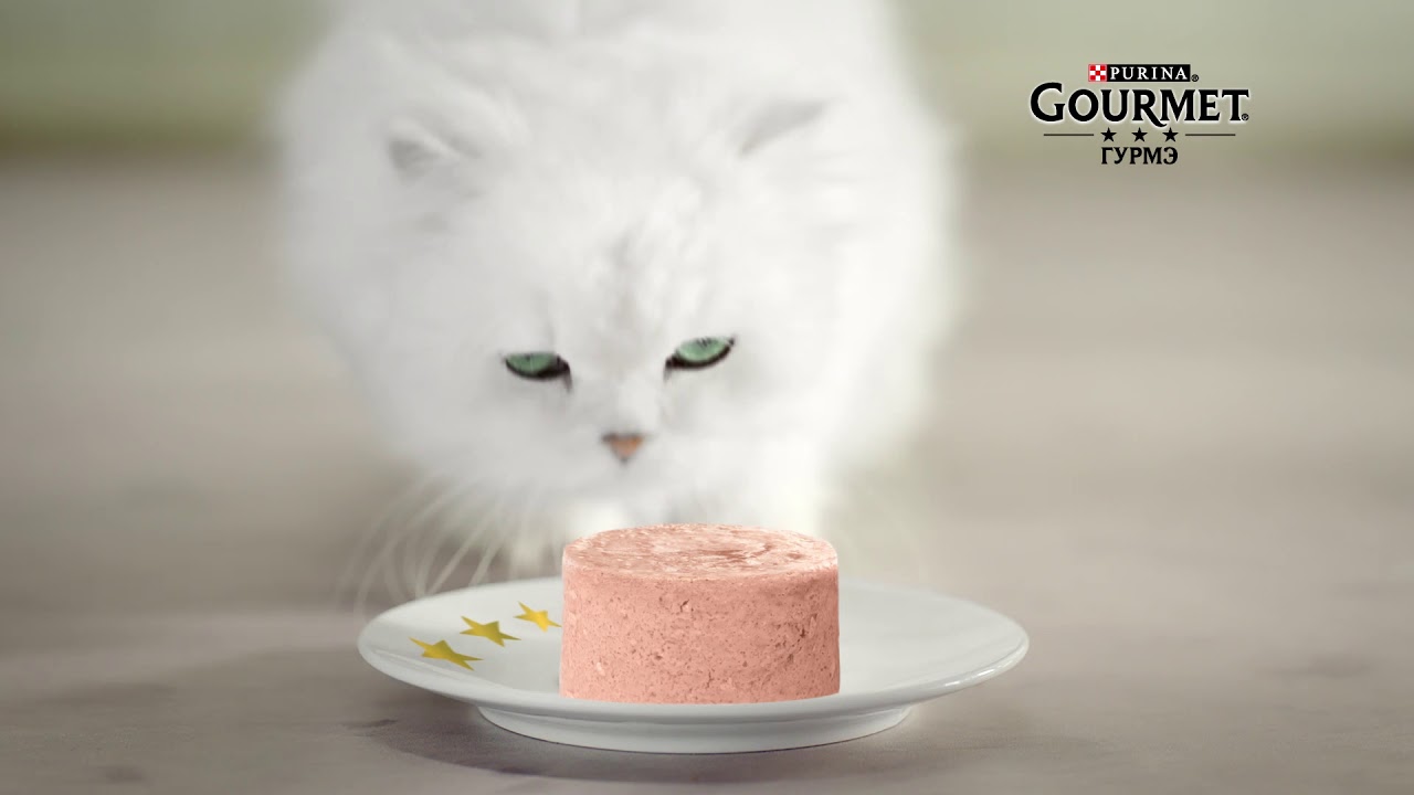 Gourmet Gold 2019 - YouTube