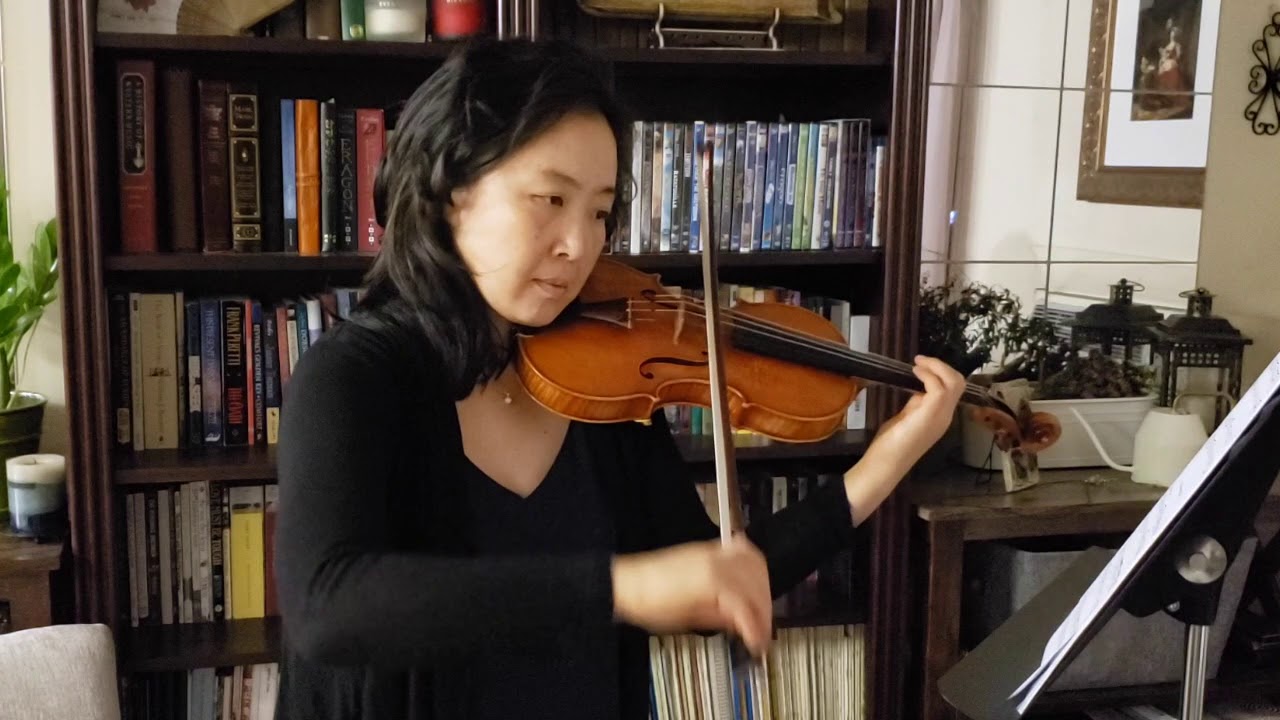 Applebaum Volume 3 #8 Play Along - Beautiful Music for Two String ...