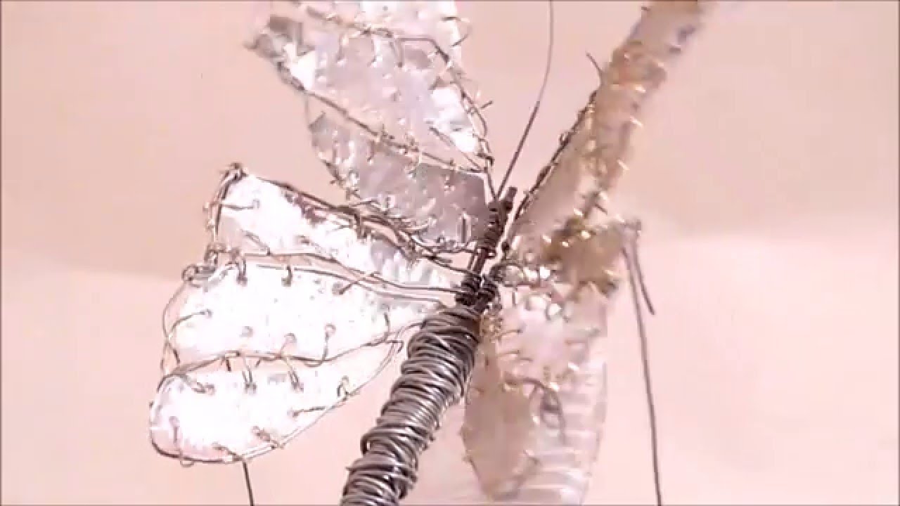 Butterfly Automata - YouTube