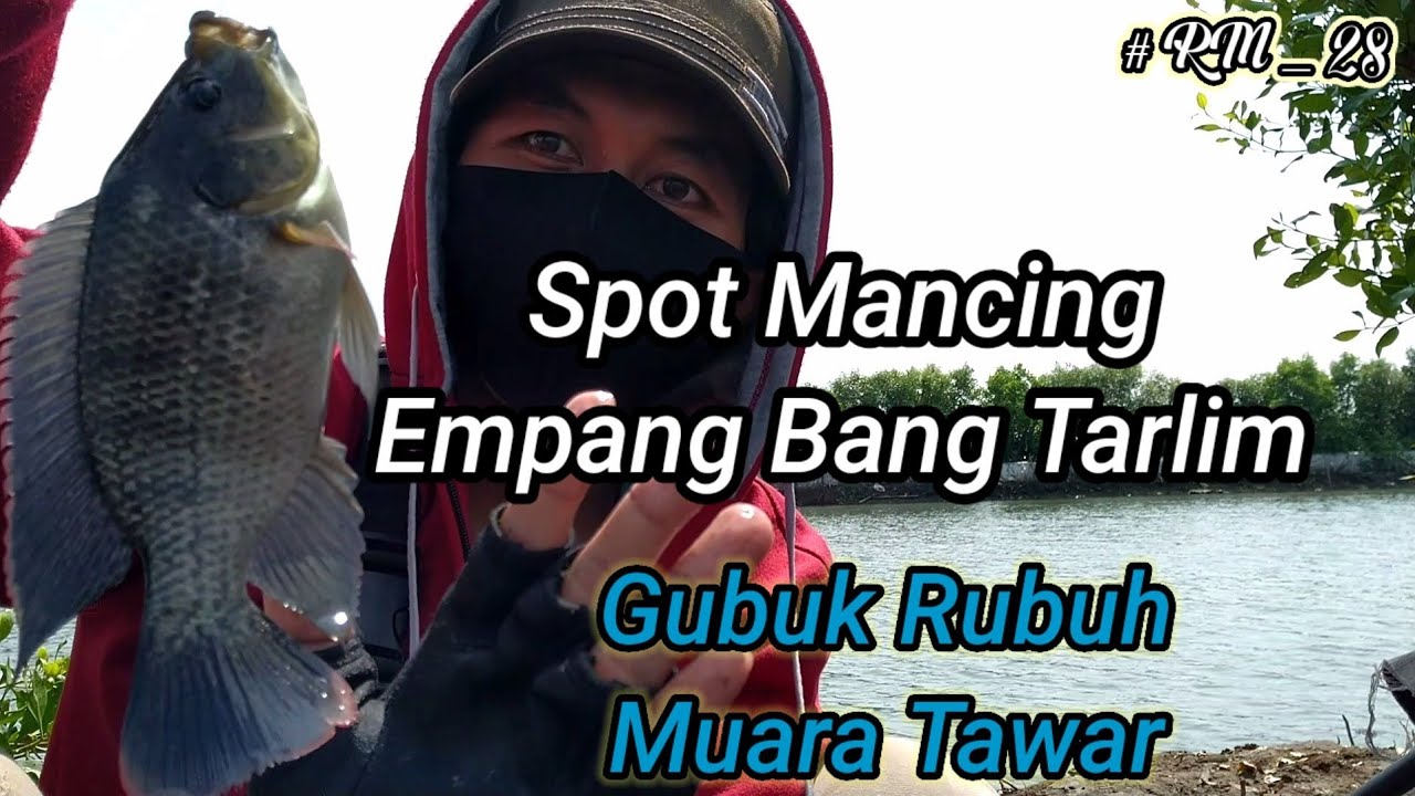 Spot Mancing Empang Bang Tarlim || Gubuk Rubuh Muara Tawar ...