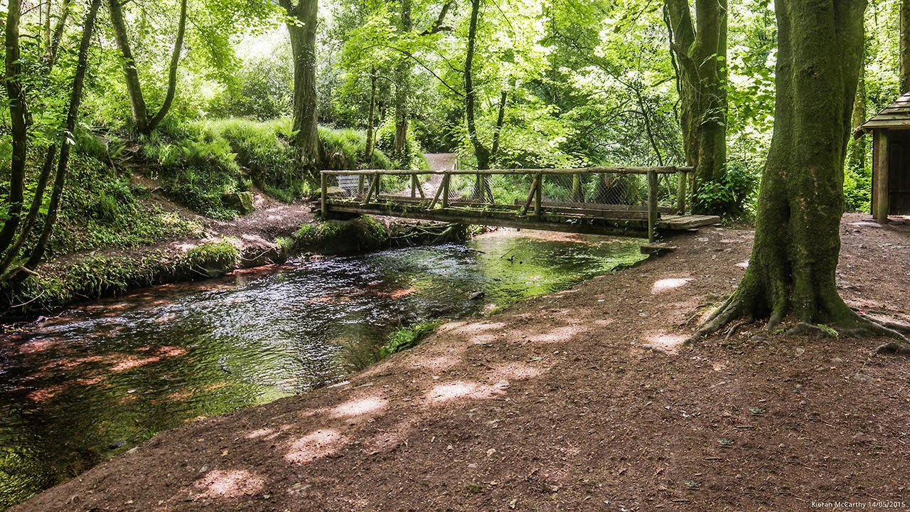 Scenic Glenbower Wood Killeagh Co. Cork Ireland - 14th June 2015 - YouTube