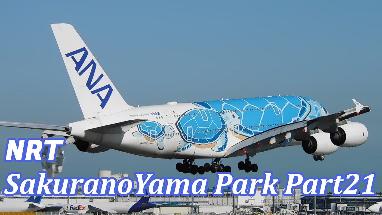 Sakura no Yama Park(さくらの山) Narita Airport(NRT) Part21 Plane Spotting ...