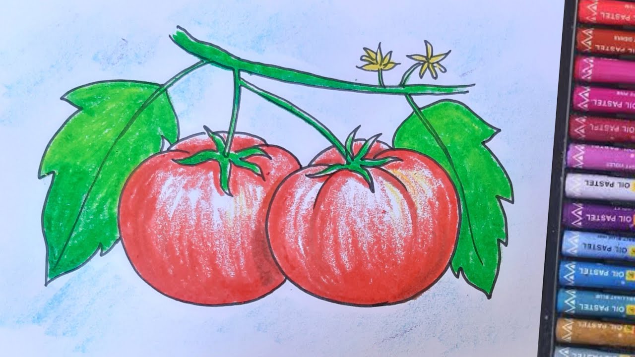How to draw Tomatoes step by step / Tomato drawing easy / Tomatoes ...
