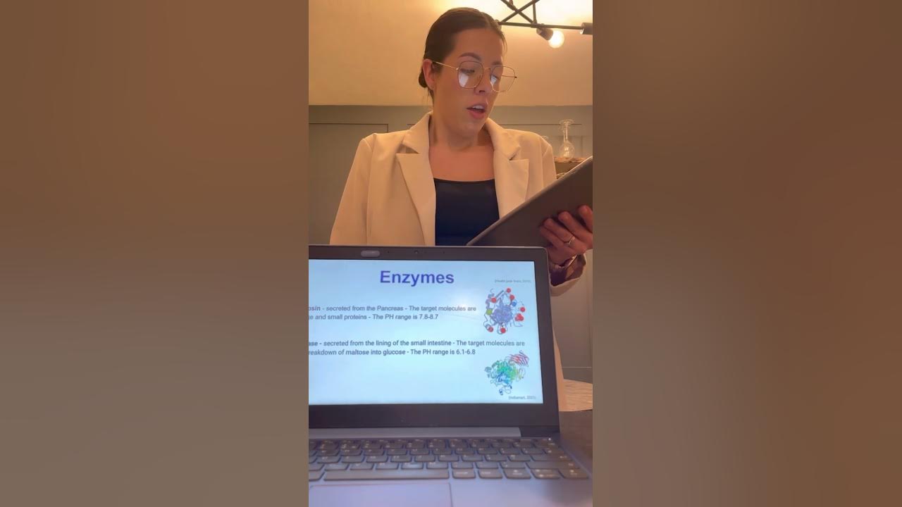 Unit 9 human nutrition and digestion - YouTube