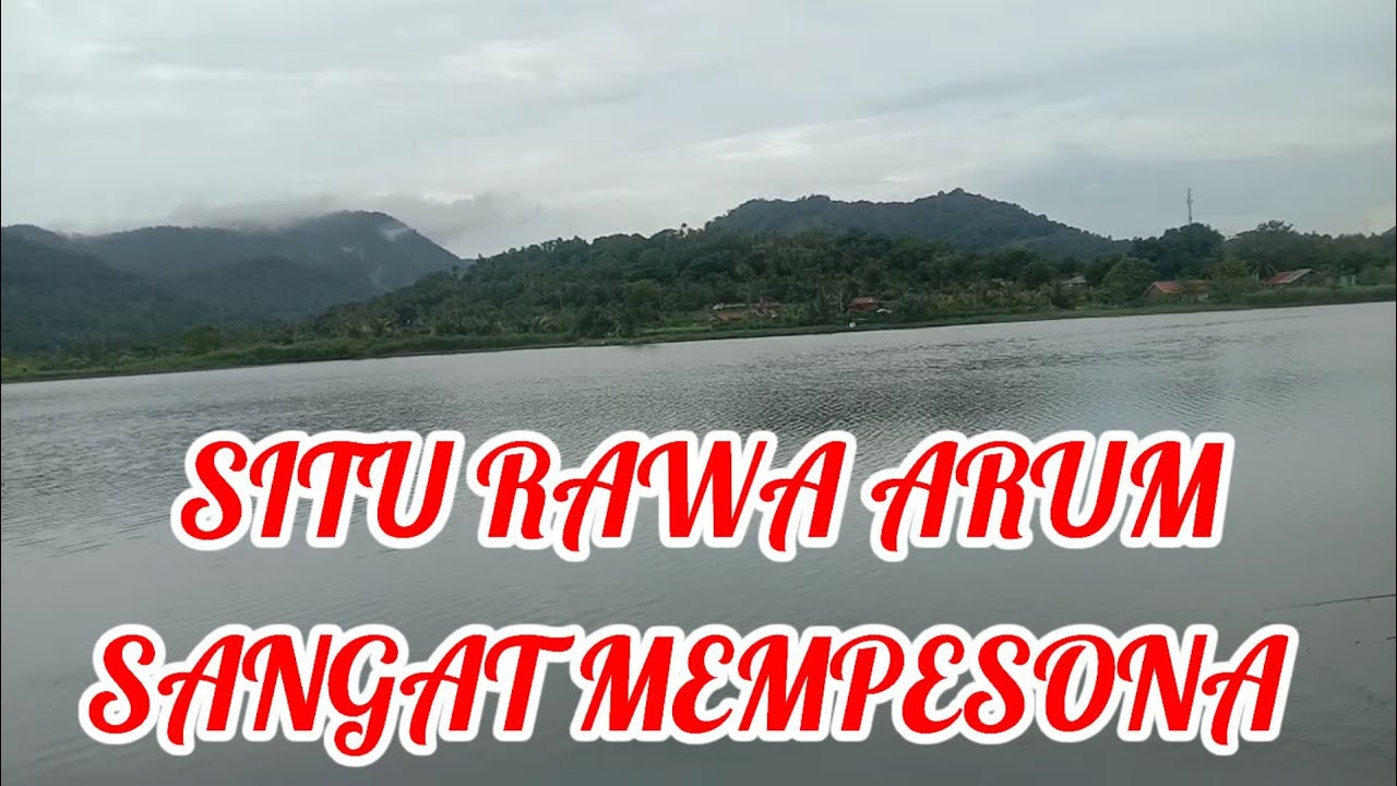 EXOTIC SITU RAWA ARUM || MANCING MANIA || JAWARA INSYAF || - YouTube