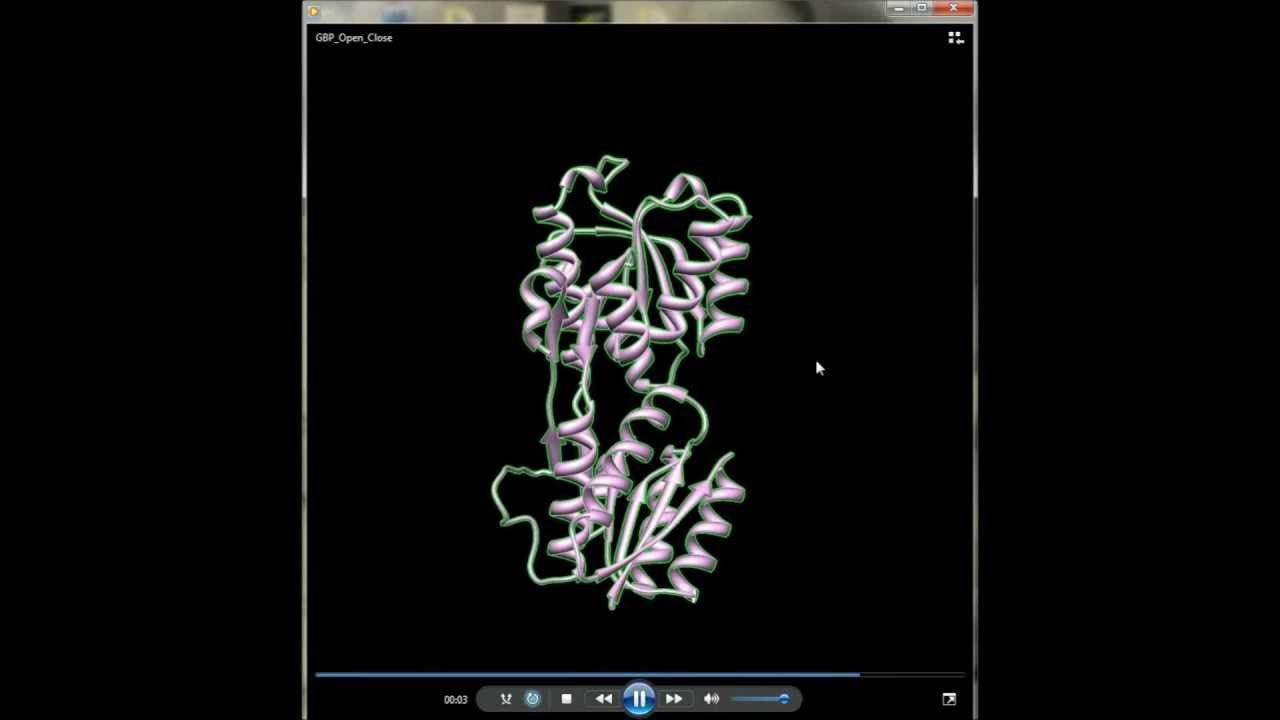 Conformational Change Tutorial (UCSF Chimera) - YouTube