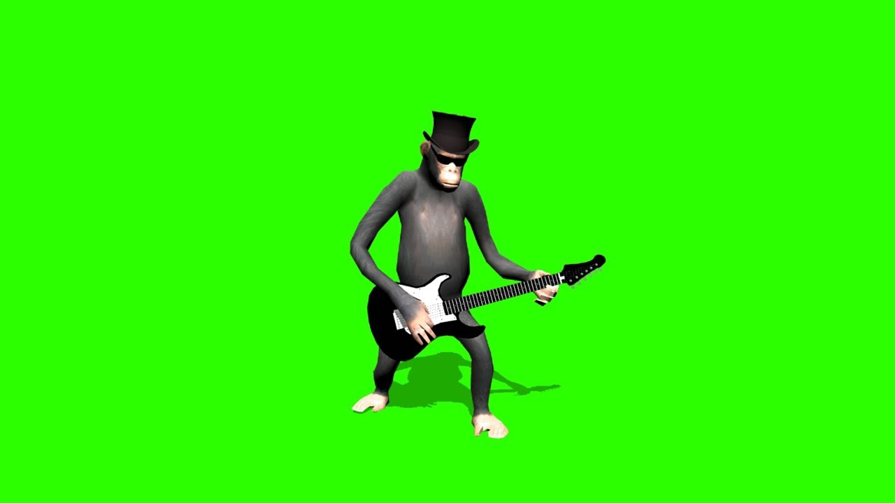 Monkey Playing Guitar #1 / Green Screen - Chroma Key - YouTube