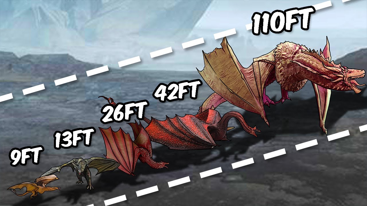 The 10 Biggest Dragons in House of the Dragon - YouTube