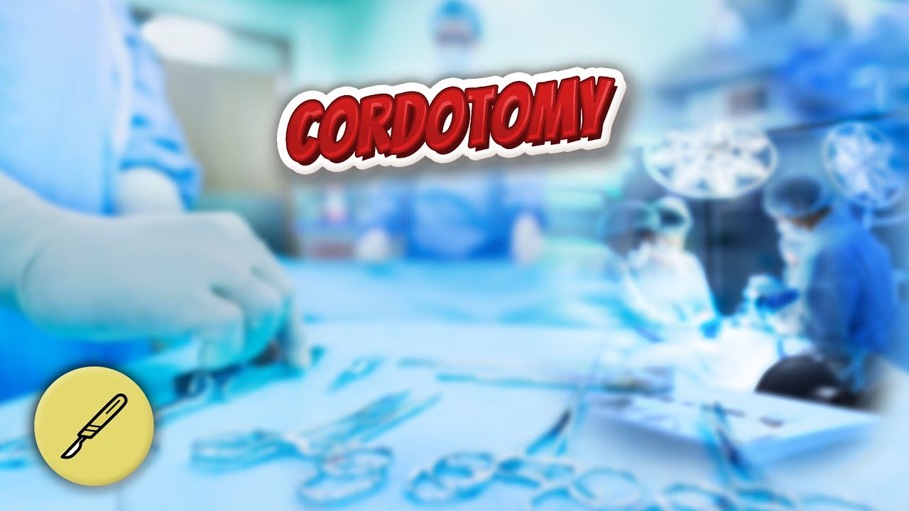 Cordotomy - Everything Surgeries 😬⁉️ - YouTube