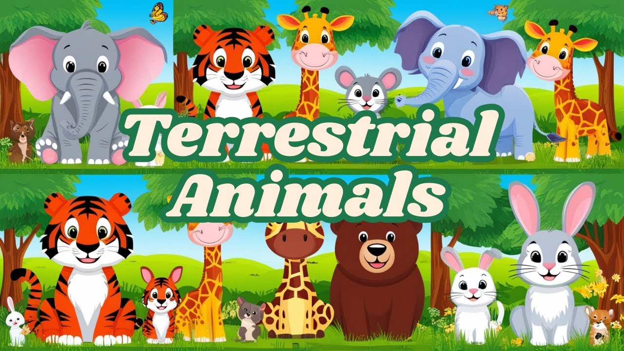 Amazing Terrestrial Animals: Fun Facts and Names for Kids | Learn About ...