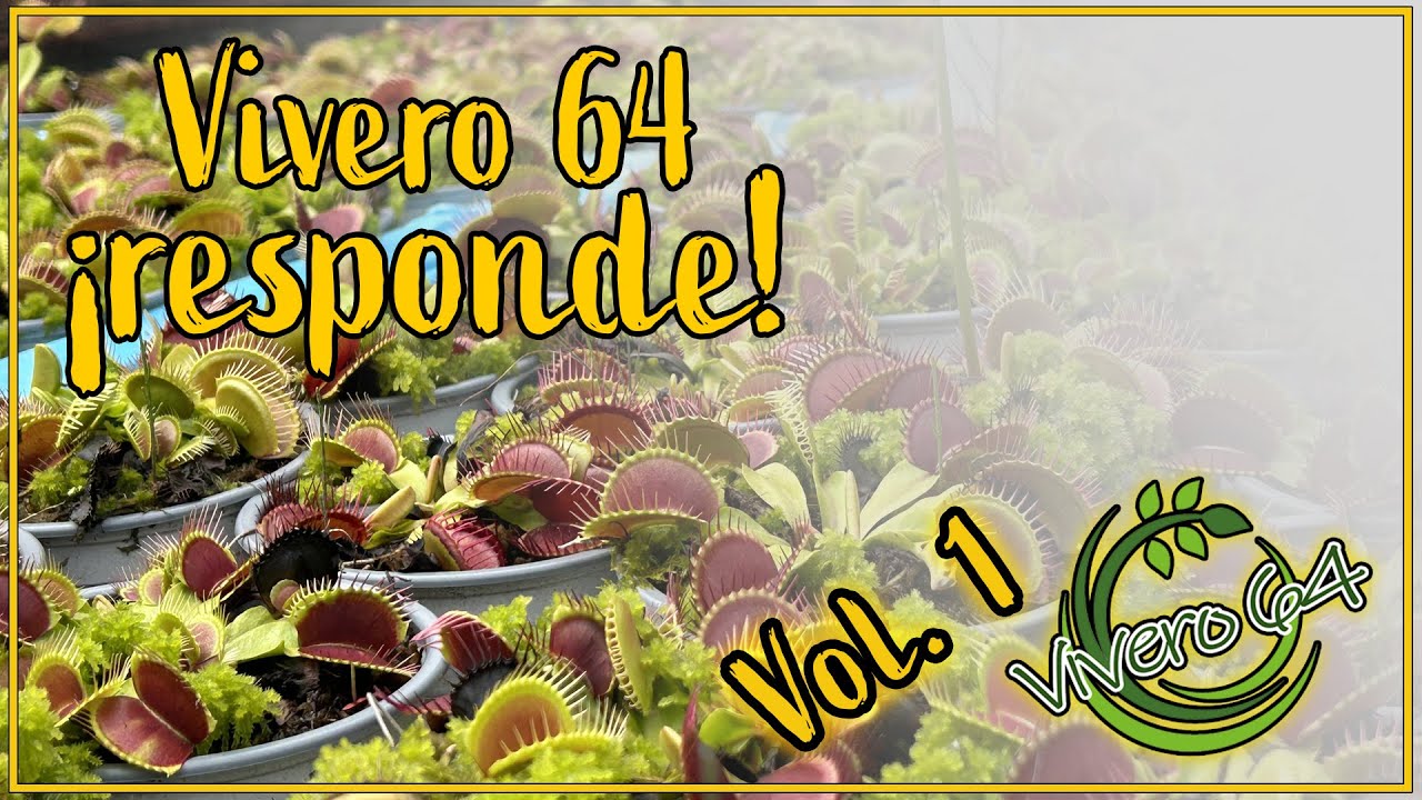 v64 responde vol1, ¡nueva sección de respuestas a tus preguntas! - YouTube