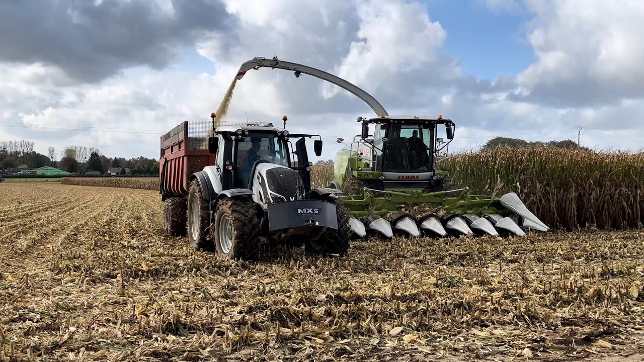 Ensilage des maïs épis à la ferme ! | Claas Jaguar 960 | campagne 2023 ...
