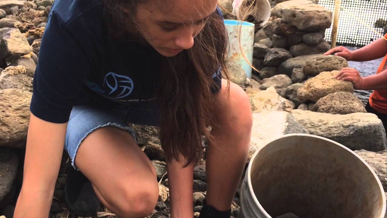 Making A Difference Project - YouTube