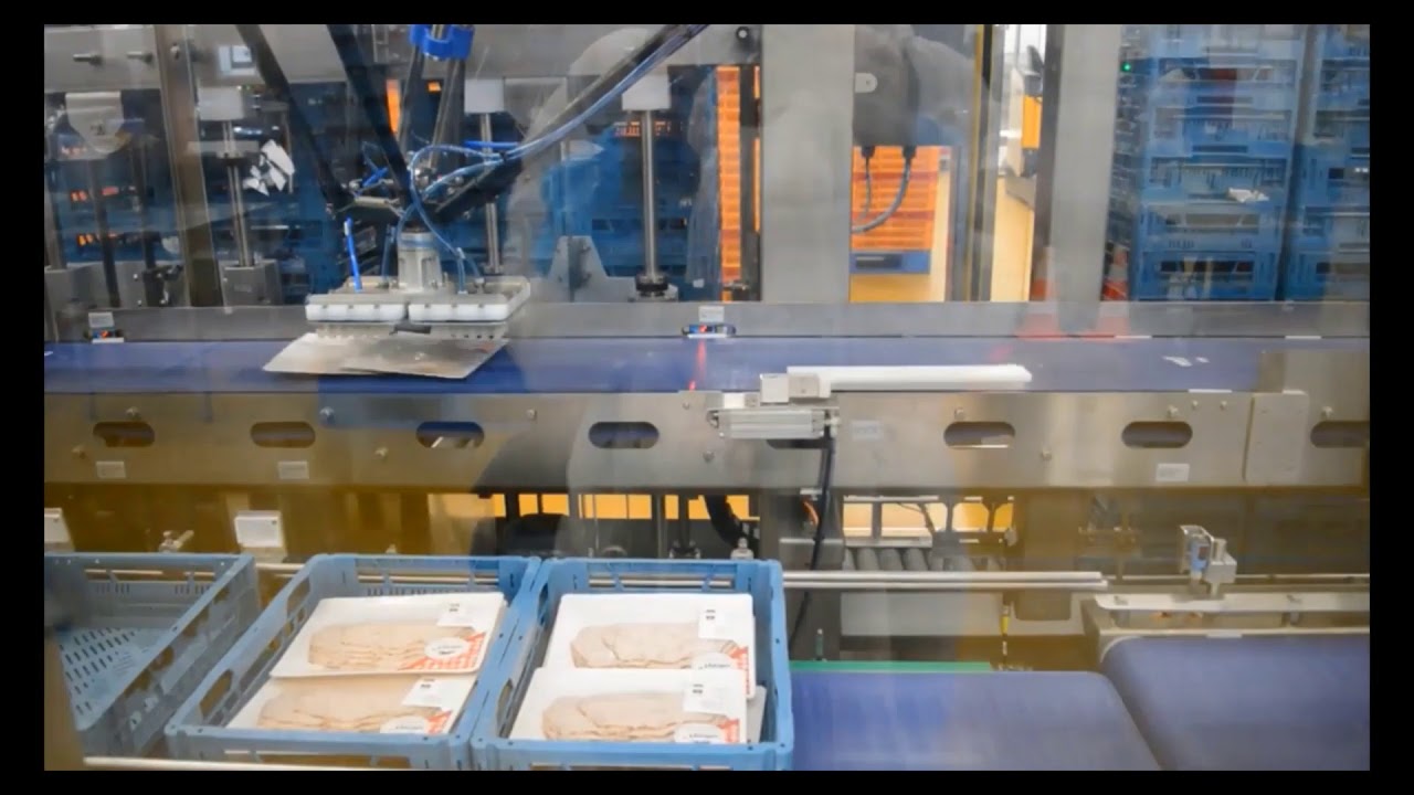 codian robotics packaging - YouTube