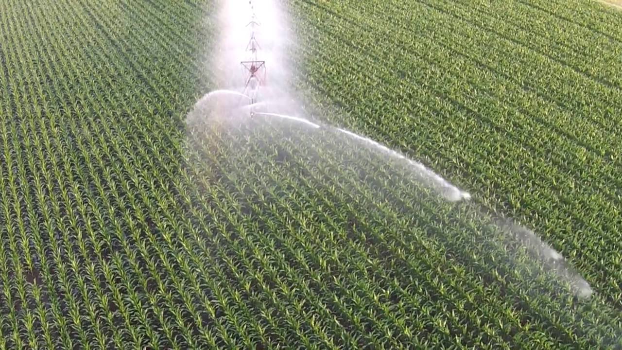 Artificial Rain on the Farm - YouTube