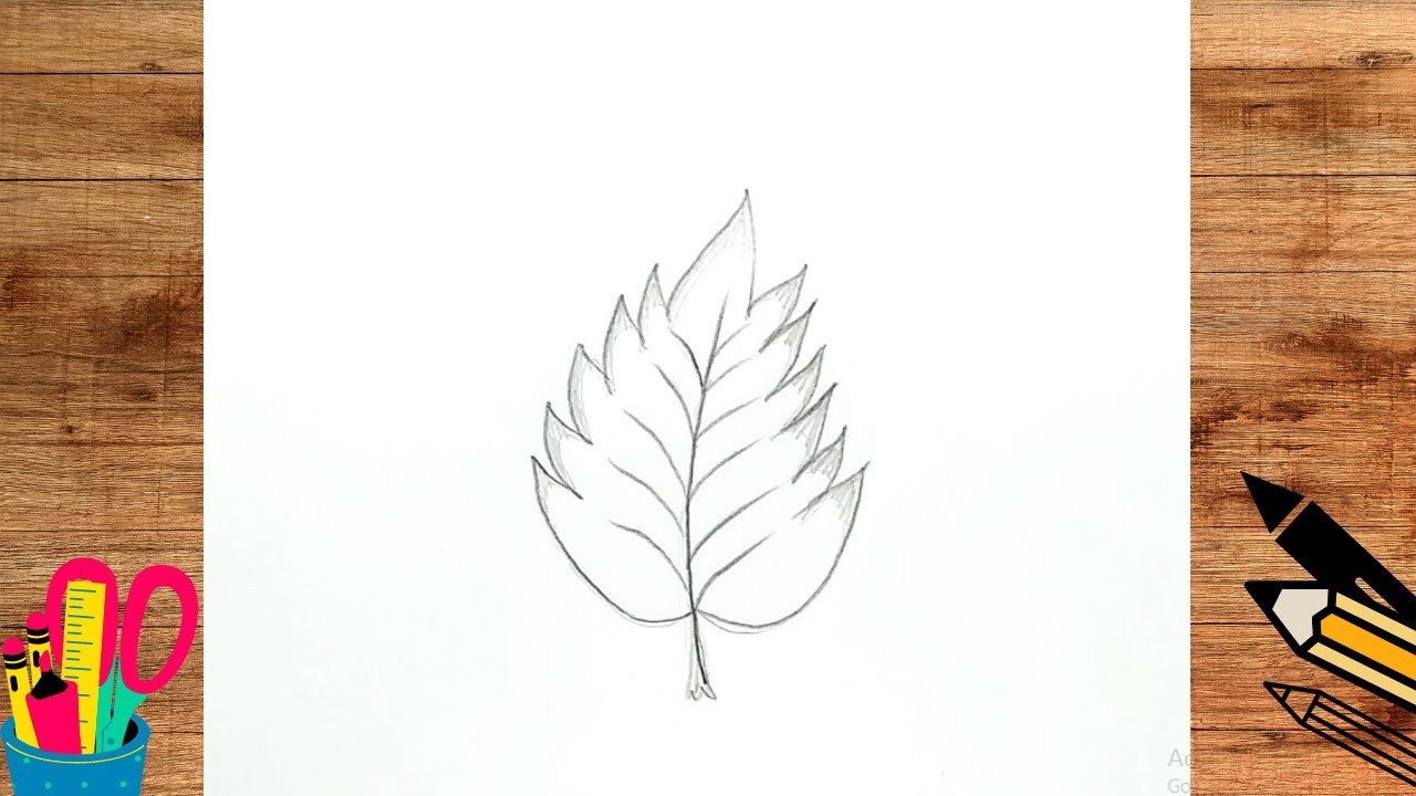 How to Draw Leaves Easy - YouTube