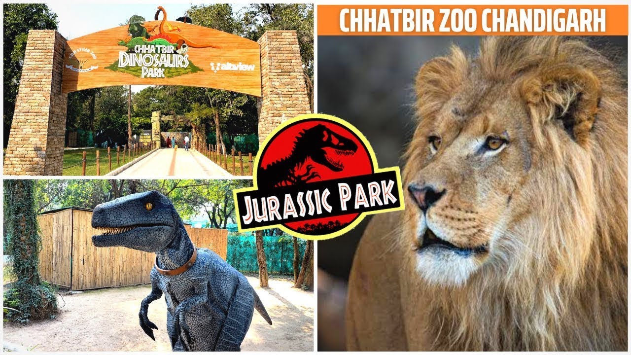 chhatbir Zoo in Chandigarh l Famous place in zirakpur....... - YouTube