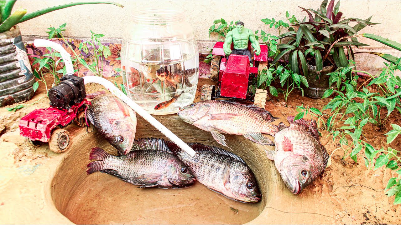 Catch fish using mini water pump | fishing exciting | diy tractor - YouTube