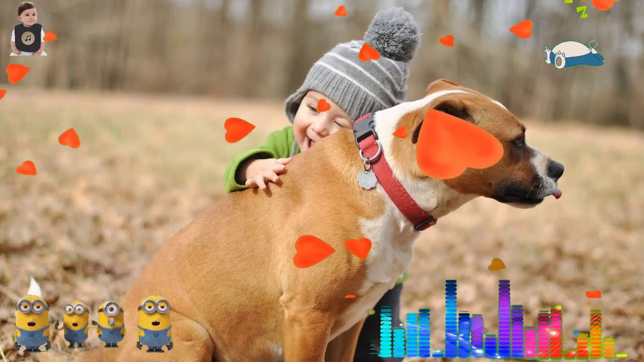 Canção de Ninar ♫ Linda Música de Ninar e Dormir, Musica para ♫Bebes ...