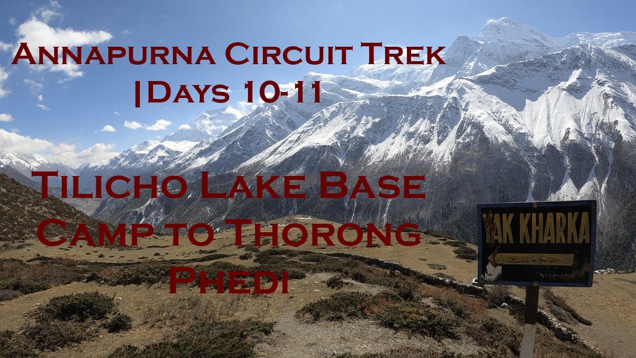 Annapurna Circuit Trek: Tilicho Base Camp to Thorong Phedi (Days 10 -11 ...