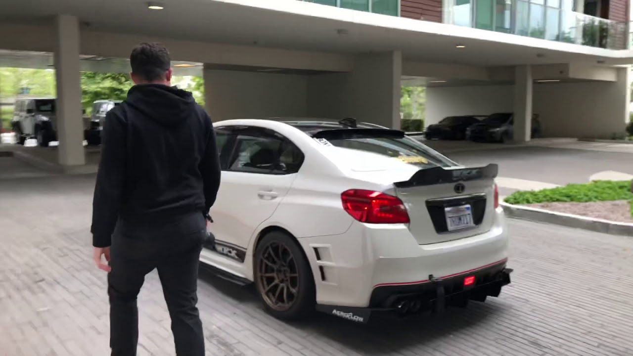 Vlog_06 The Boxer Squad - YouTube