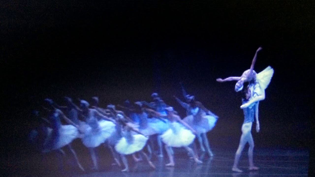 SWAN LAKE Pas de Deux ~ Best Ever ~ Deise Mendonça & Erik Sanborn - YouTube
