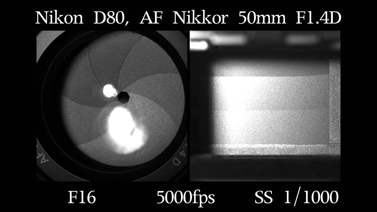 Nikon D80 slow motion of shutter and aperture - YouTube