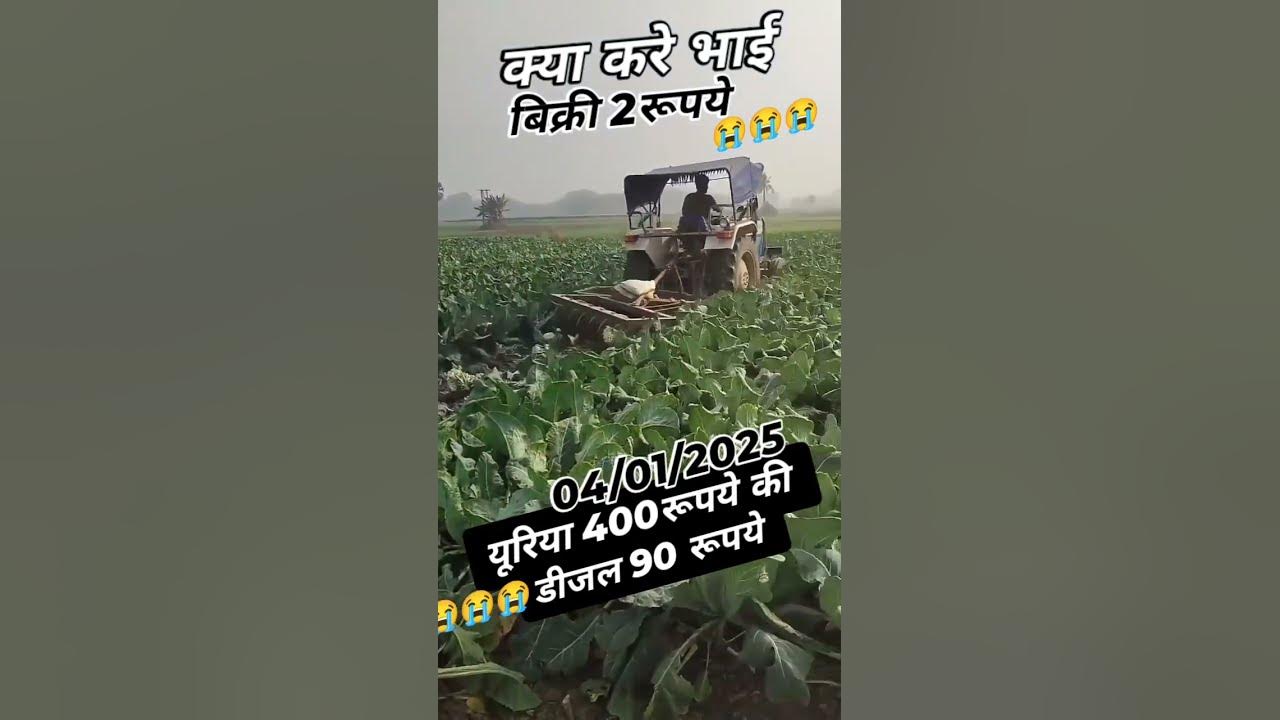 10 January 2025 - YouTube