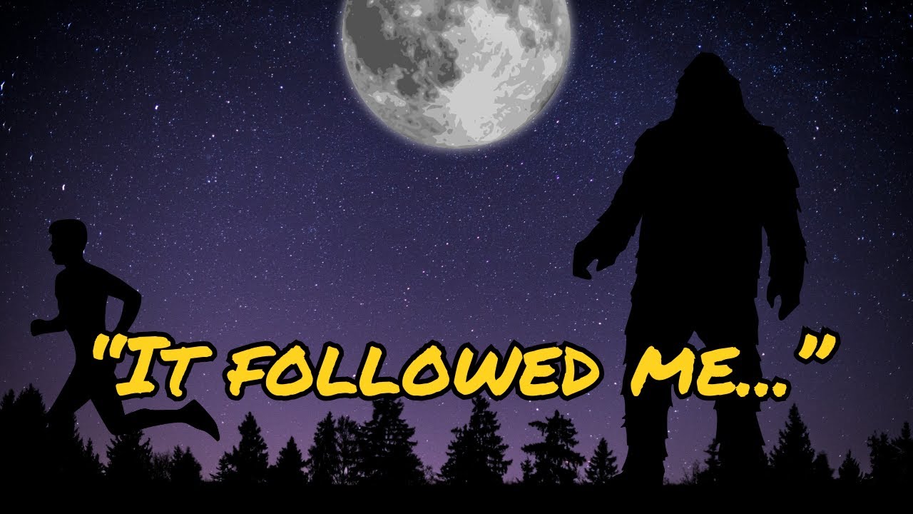"It followed me..." - YouTube