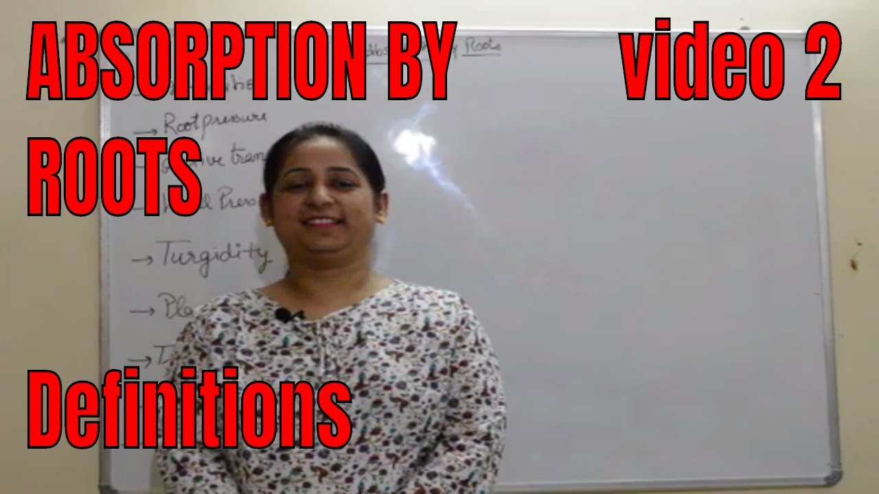 Definitions of absorption by roots - YouTube