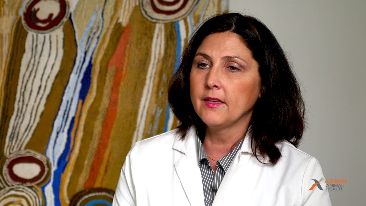 Assisi Loop Clinical Use Guide - YouTube