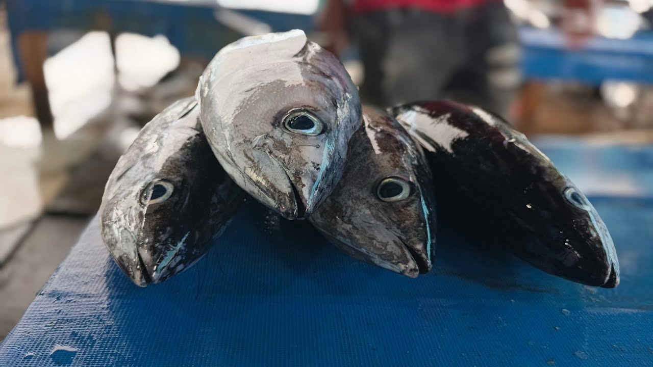 Traditional Tuna Cutting You’ve Never Seen Before - YouTube