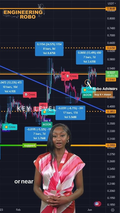 Robo Trading Algorithms: Beginner's Guide to Crypto (Watch Until the End!!) - YouTube