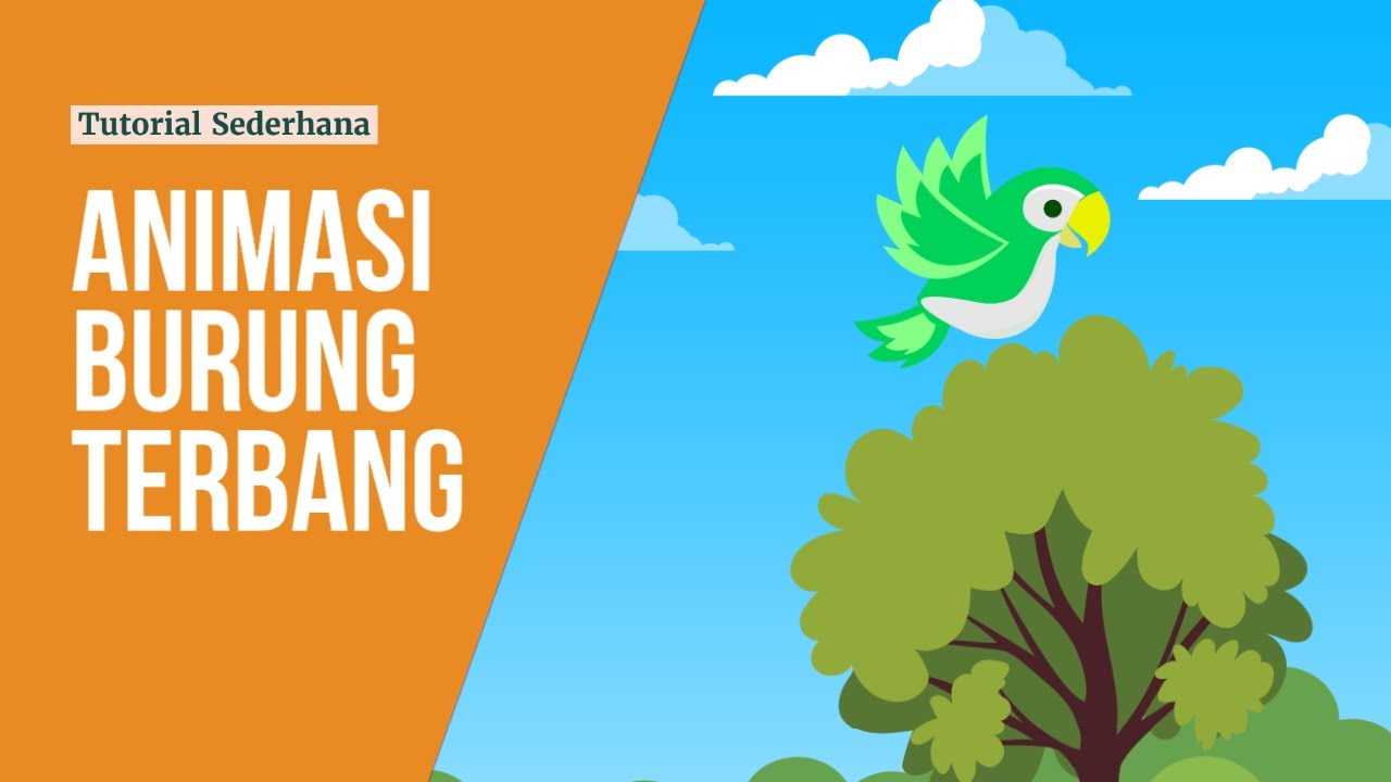 Animasi Burung | After Effects Beginner Tutorials - YouTube
