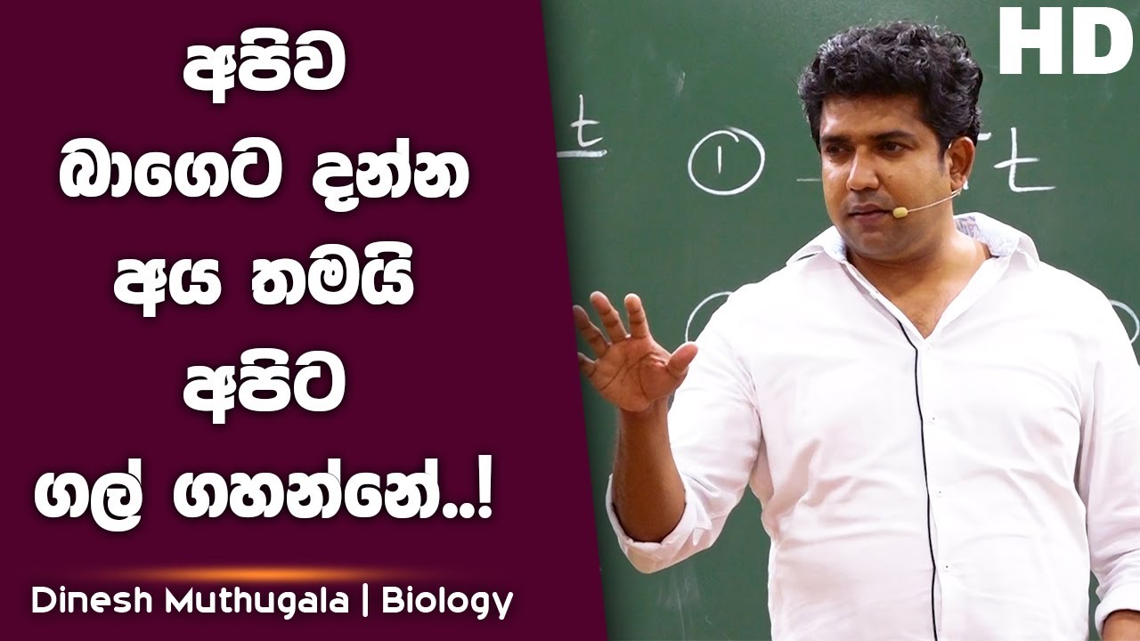 අපිව බාගෙට දන්න අය තමයි අපිට ගල් ගහන්නේ..! | Dinesh Muthugala - YouTube