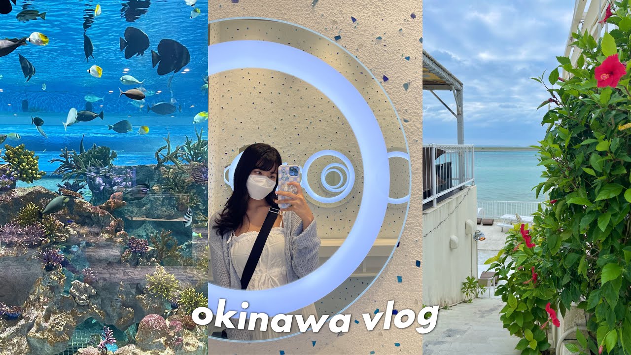 Krjp 오키나와 여행 1 🌺우미카지테라스 국제거리 Dmm카리유시수족관🐟 타코라이스 소키소바 스팸니기리 이자카야에서 오리온맥주🍺 블루씰아이스크림