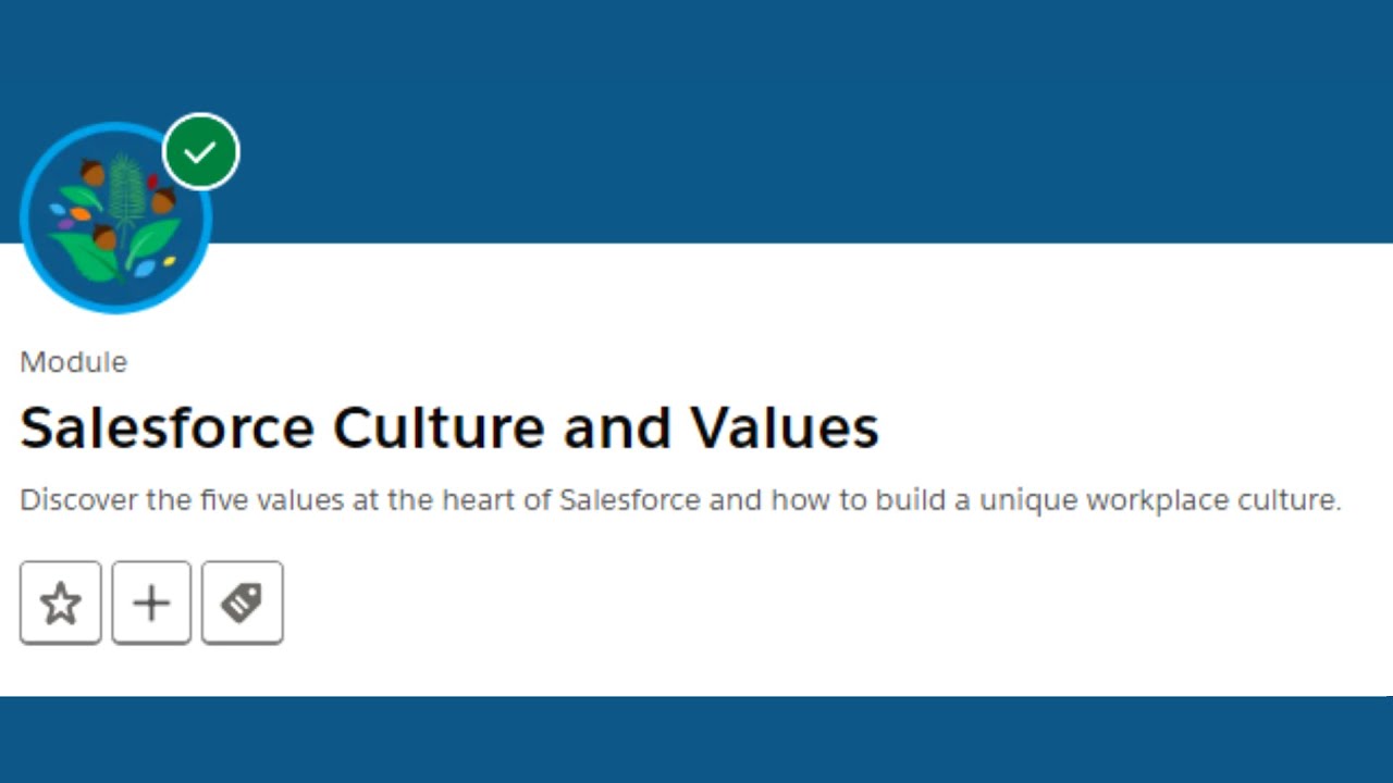 Salesforce Culture And Values Salesforce Trailhead Youtube
