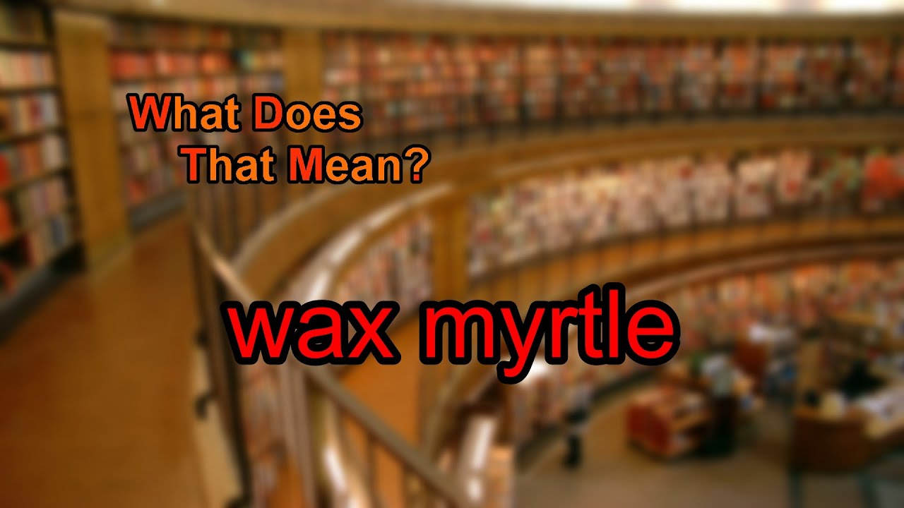 What Does Wax Myrtle Mean YouTube what-does-wax-myrtle-mean-youtube