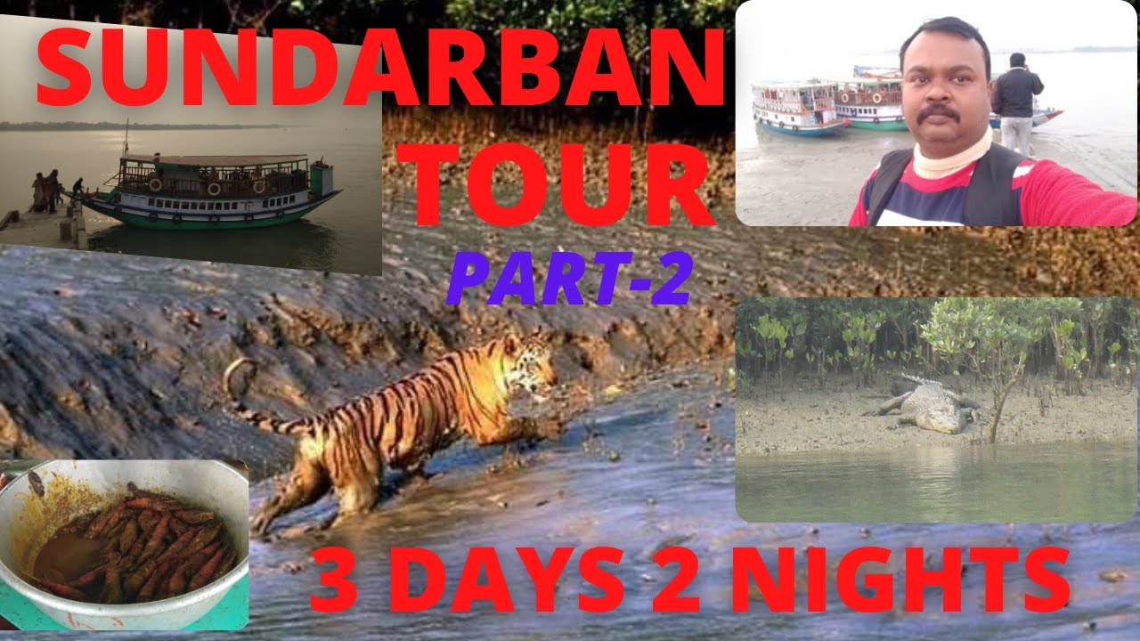 Sundarbon Tour /SUNDARBAN BHROMAN 2022/2 nights 3 days sundarban tour ...
