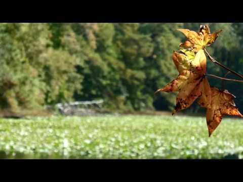 Rambling: People are naturally good. - YouTube