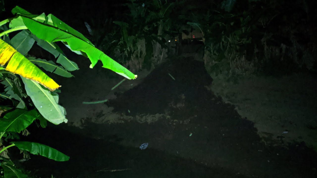 HANTU KEMAMANG SI MATA BOLA API GANAS !! - YouTube