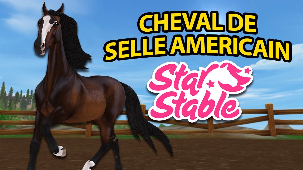 Achat du Cheval de selle américain 🍔 | Star Stable - SSO - YouTube