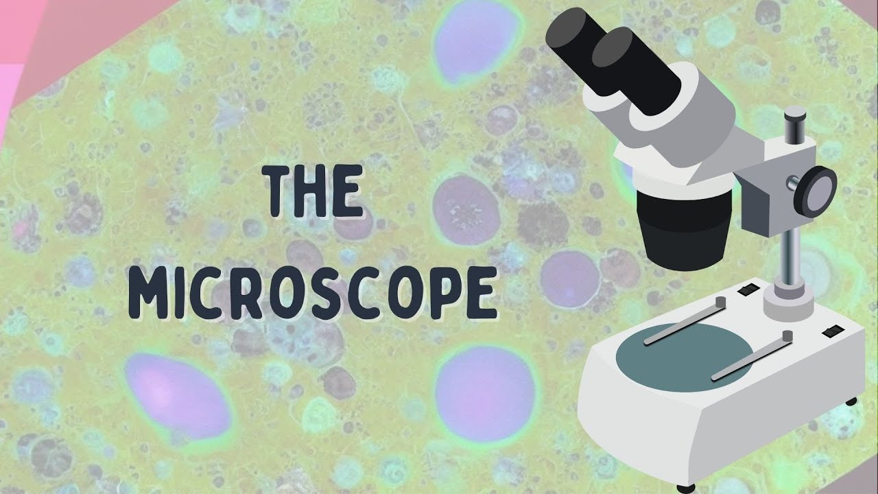 The microscope: Parts and Functions - YouTube