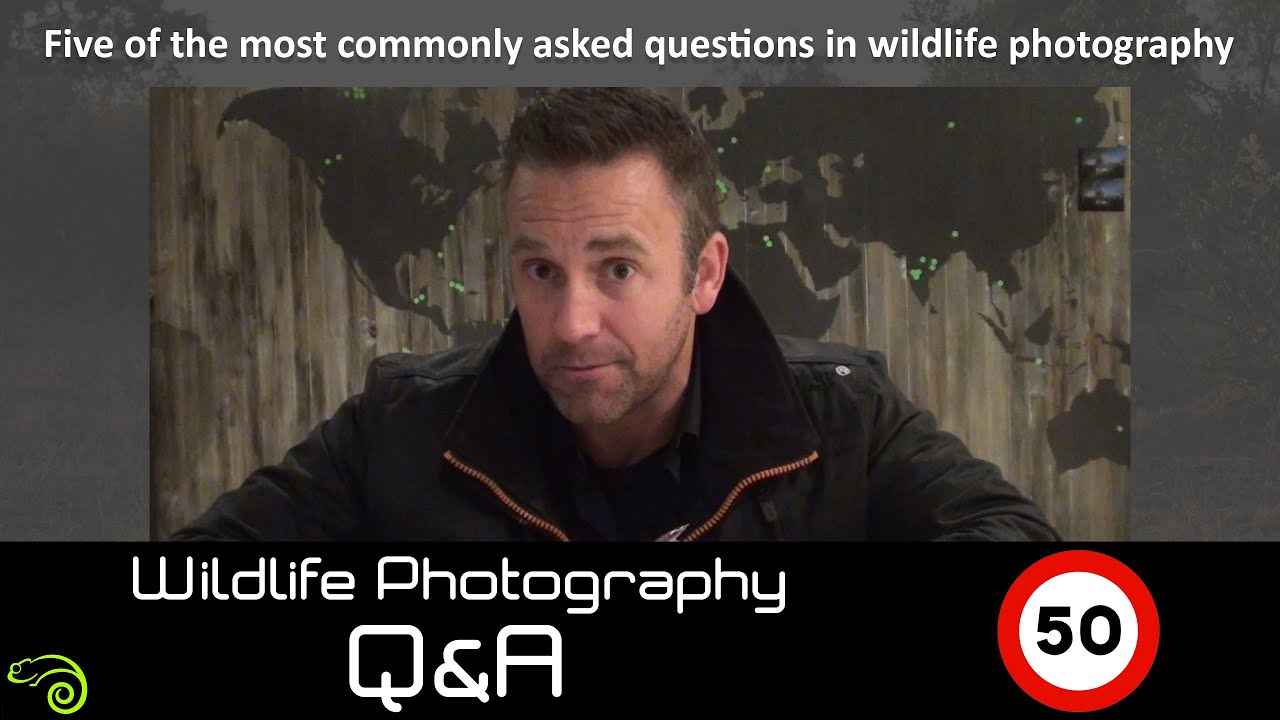 Wildlife Q&A - Episode 50: The most commonly asked questions in ...
