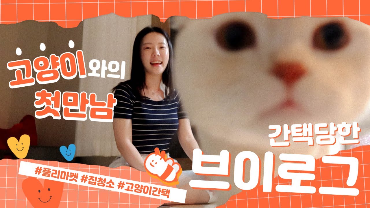 고양이와 첫 만남에 바로 간택당한 Ssul🐱 몰래 친구네 집 청소 해주는데 고양이 플러팅은 못 참지🧹🧺 Youtube