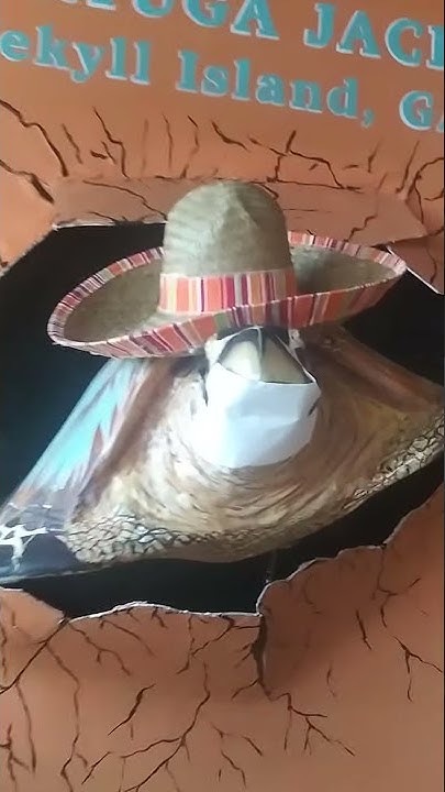 Tortuga Jacks ,Jekyll Island - YouTube