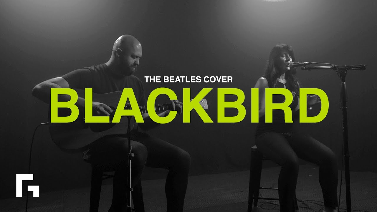 Blackbird (The Beatles Cover) - YouTube